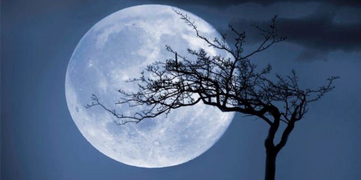 December Cold Moon Journal Prompts - Jenny Heston